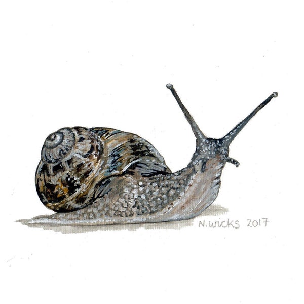Snail Painting - Etsy