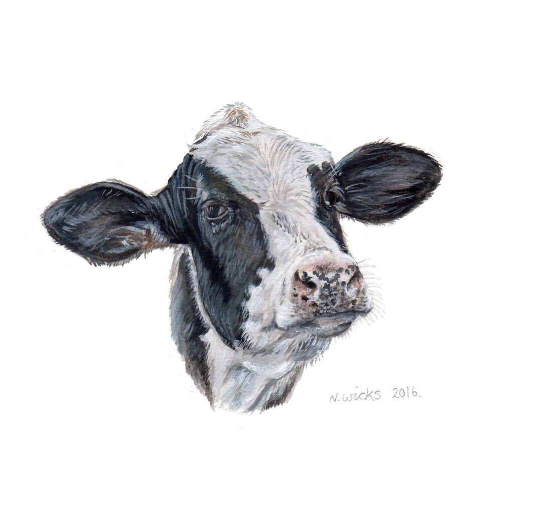 Cornish Cow Print - Etsy