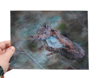 Squirrel Window Film - Etsy