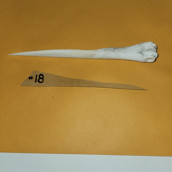 Deer Leg Bone Knife - Etsy