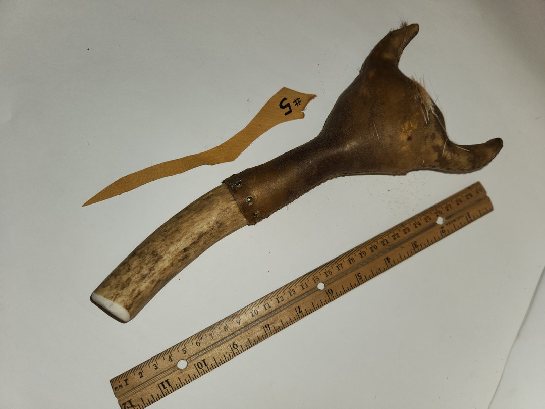 Native American Style Buffalo Head Deer Raw Hide Rattle 5 - Etsy