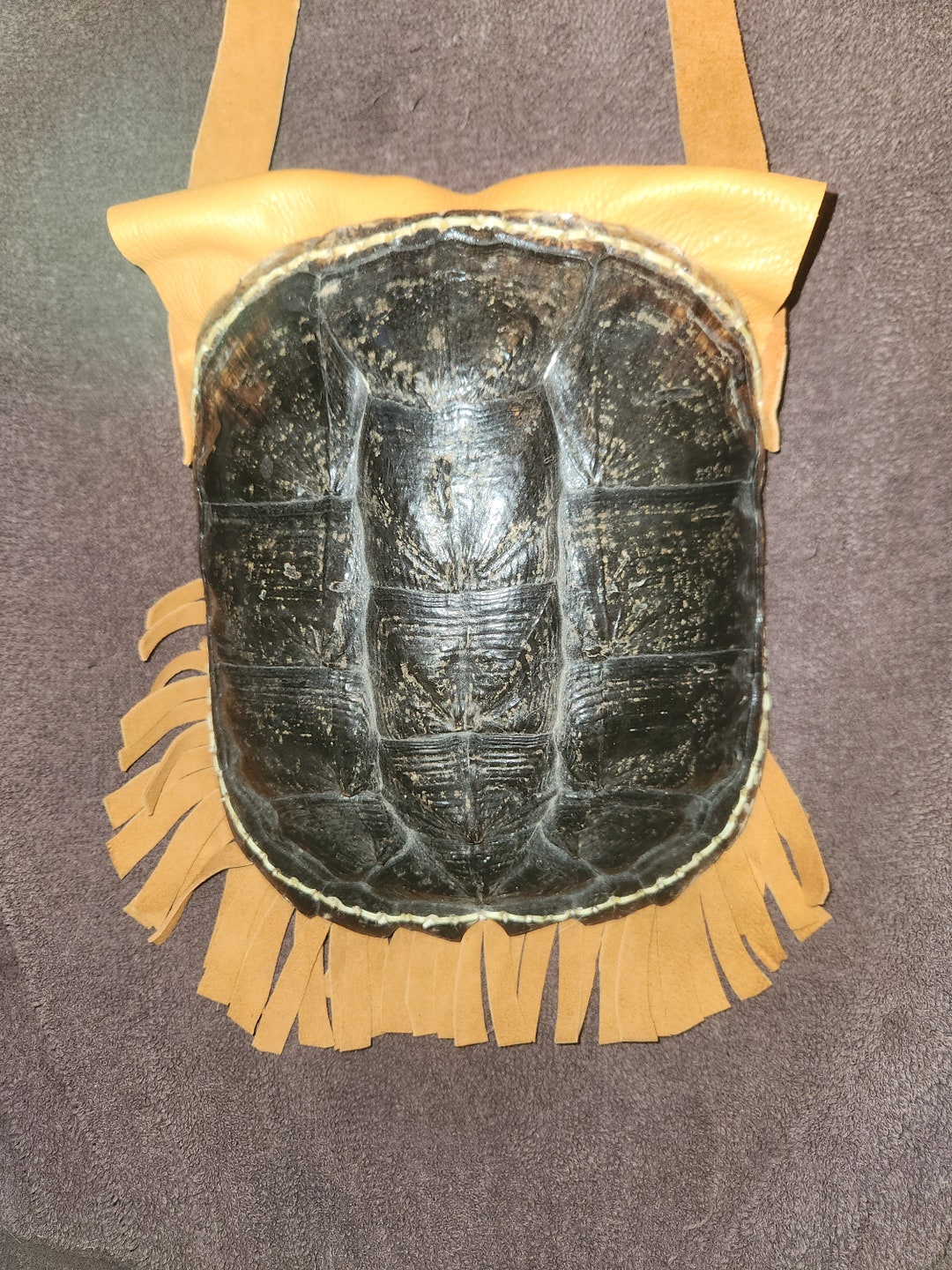 Turtle Shell Bag/purse - Etsy