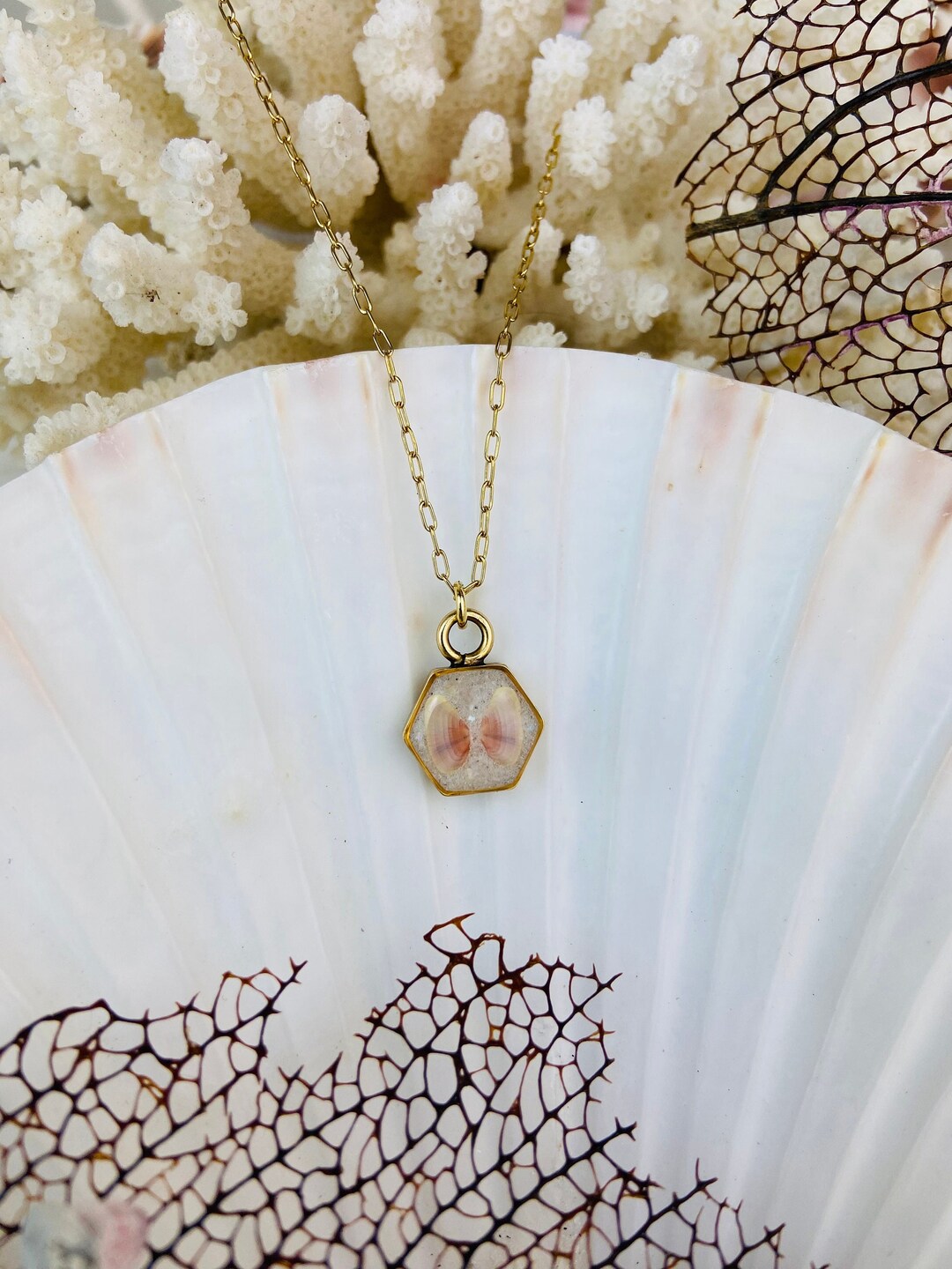 Angel Wings Coquina Shell and Beach Sand Gold Hexagon Pendant - Etsy