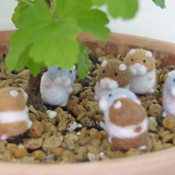 Miniature Hamster - Etsy