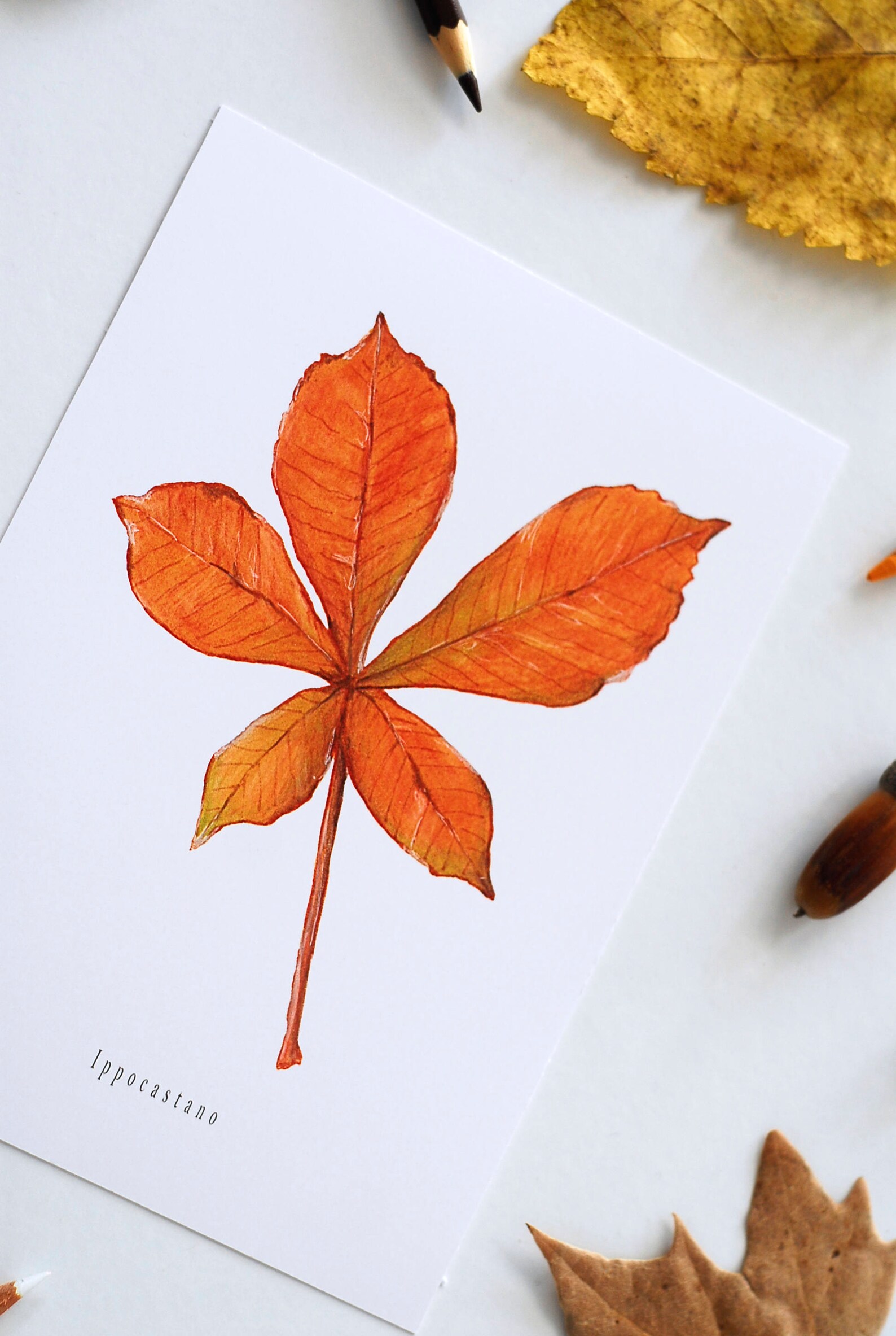 Horse Chestnut Art Print Leaf Botanical Print Watercolor - Etsy