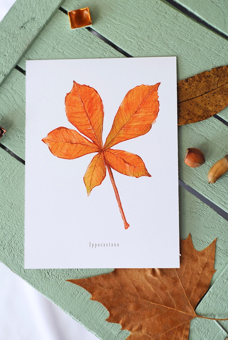 Horse Chestnut Art Print Leaf Botanical Print Watercolor - Etsy