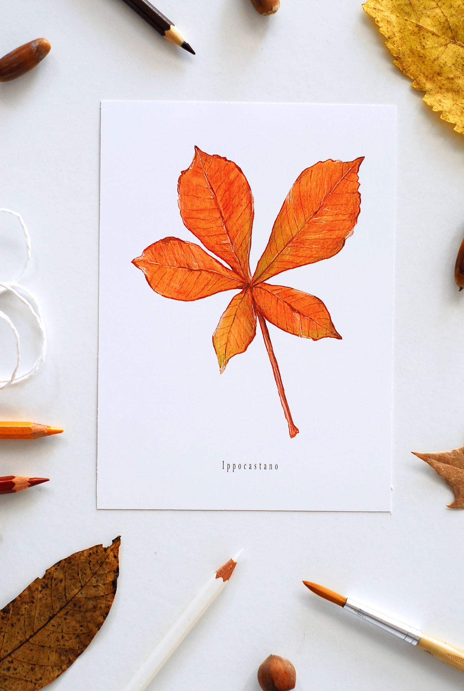 Horse Chestnut Art Print Leaf Botanical Print Watercolor - Etsy