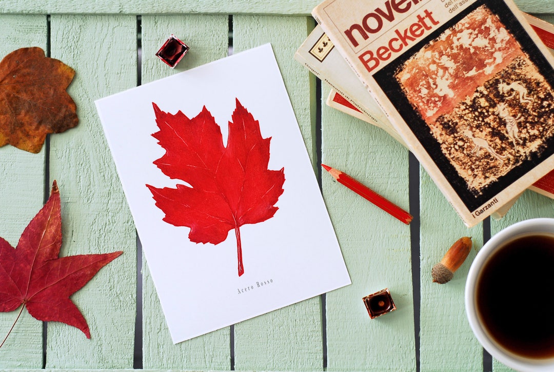 Maple Leaf Print | Botanical Print | Nature Lover Gift | Botanical Leaf ...