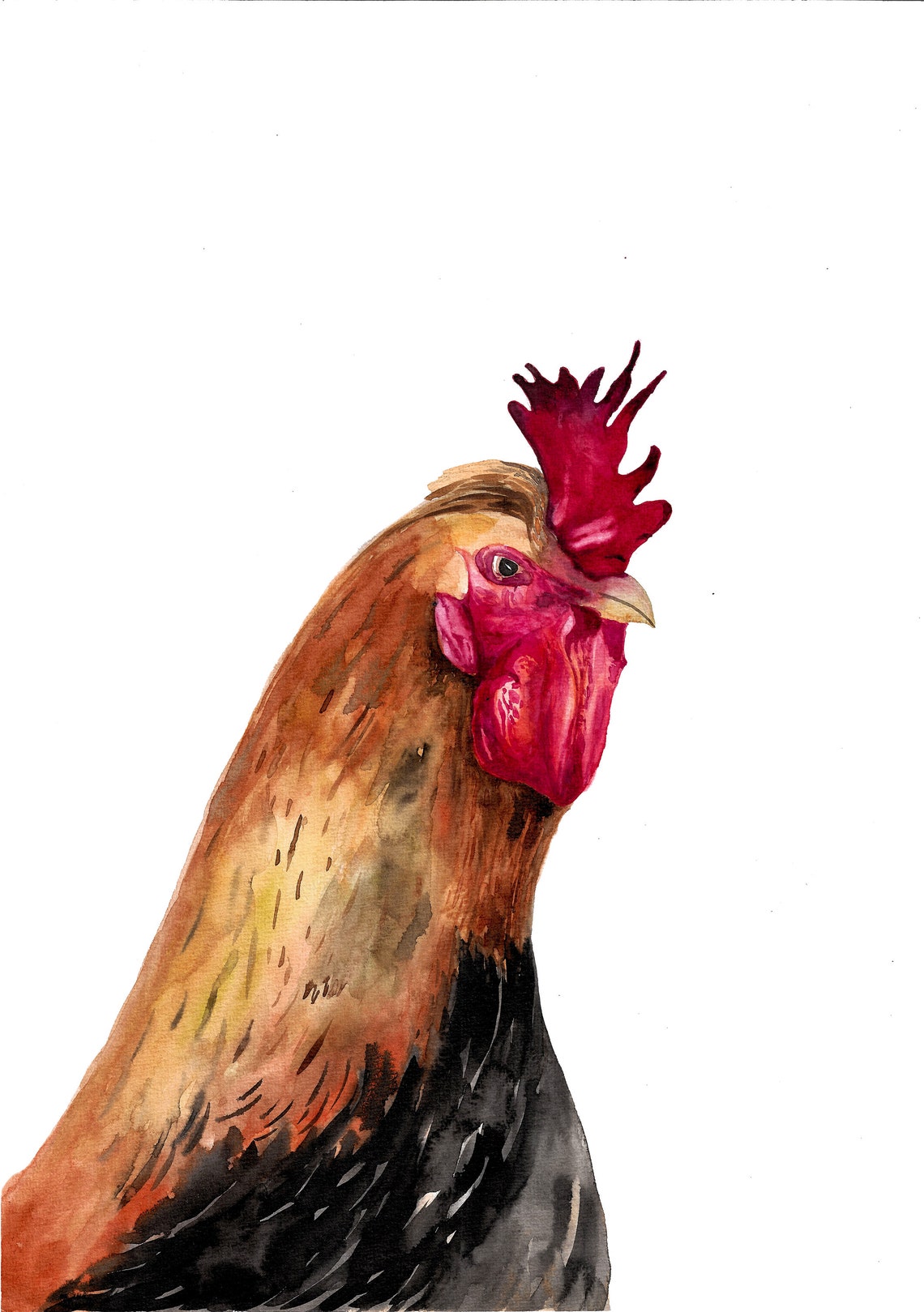 Aquarell Kunst Huhn Portrait Malerei Digital Download | Etsy