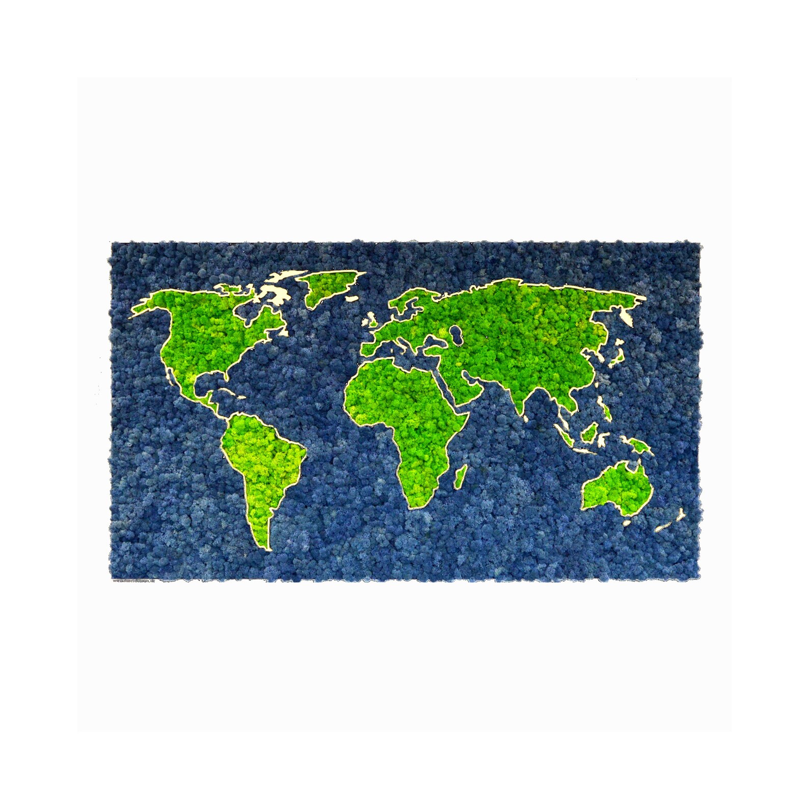 Lichen World Map-framed Unique & Beautiful 3D Map Preserved Moss ...