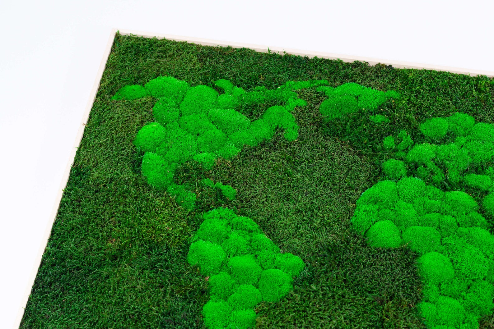 Moss World Map-framed 112x65cm(44.1x25.6") No Duty/tax! Truly Unique ...
