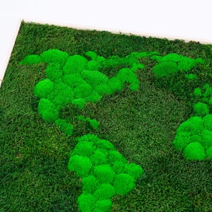 Moss World Map-framed 112x65cm(44.1x25.6") No Duty/tax! Truly Unique ...
