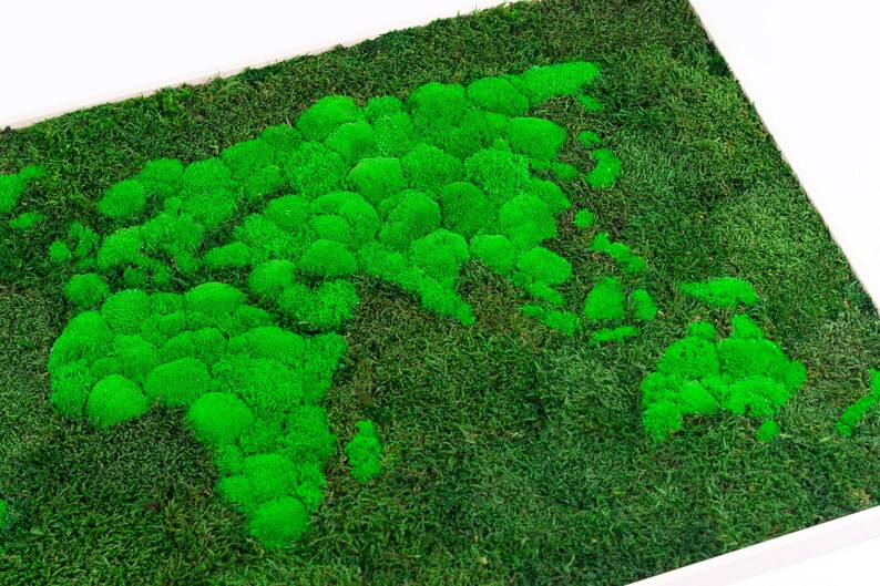 Moss World Map-framed 112x65cm(44.1x25.6") No Duty/tax! Truly Unique ...