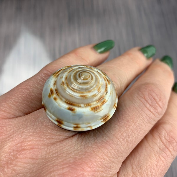 Sea Shell Ring - Etsy