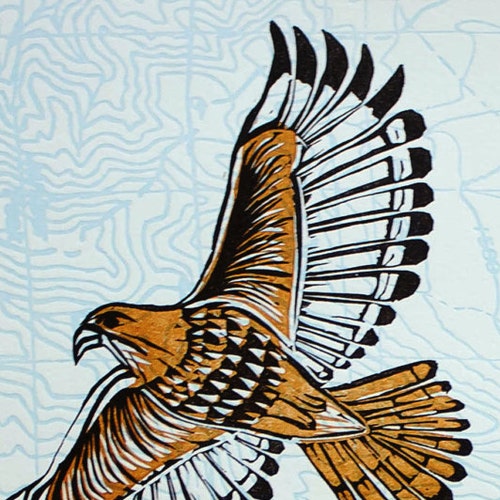 Red-tail Hawk Multi-color Linocut Print - Etsy