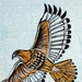 Red-tail Hawk Multi-color Linocut Print - Etsy