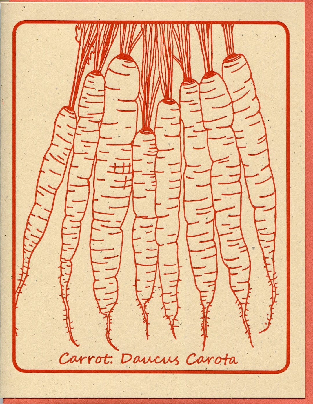 Carrots Letterpress Veggie Greeting Card - Etsy