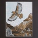 Red-tail Hawk Multi-color Linocut Print - Etsy
