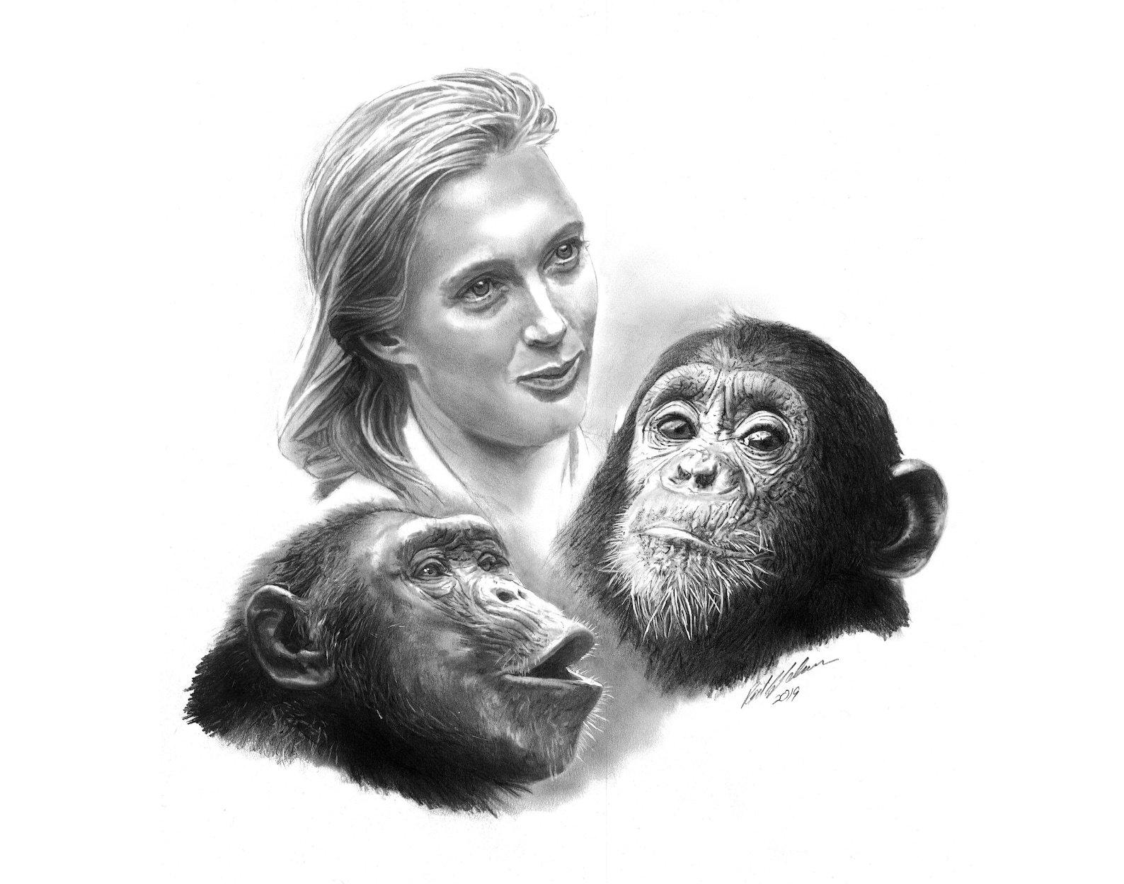 Jane Goodall, Chimpanzee, Conservation, Wildlife, Women Scientists ...