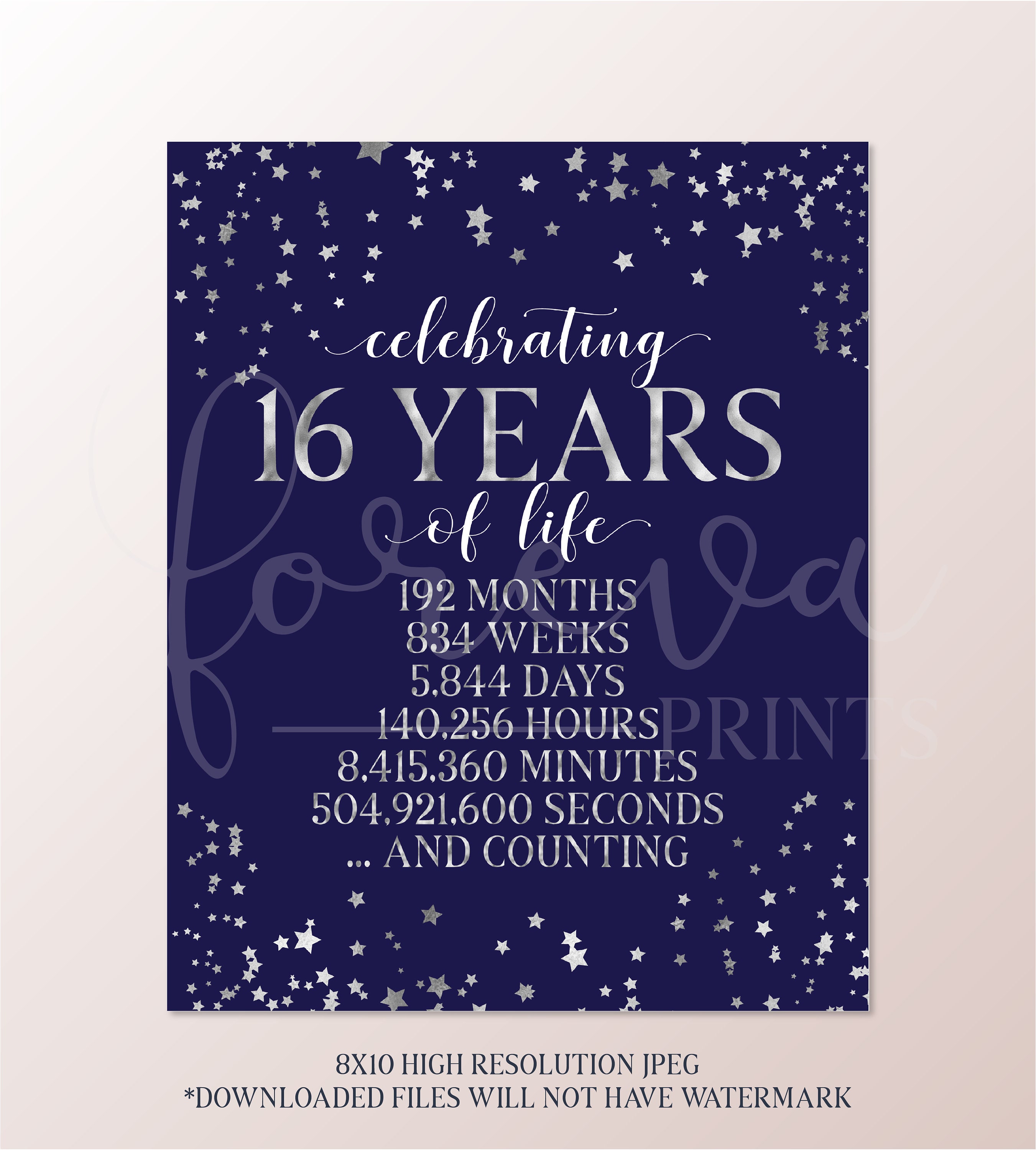 16th Birthday Printable Signs Bundle - Navy & Silver - Sweet 16 ...