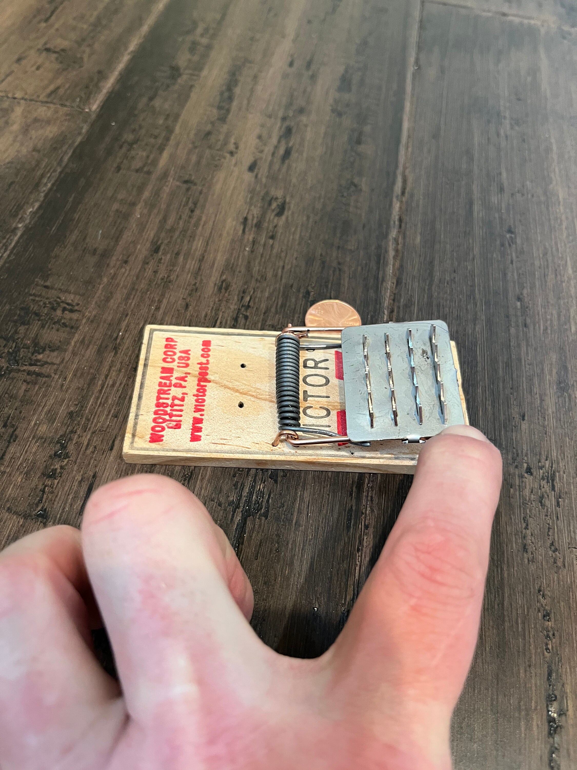 Sharp Pointed Things — Sharp Pointed Things