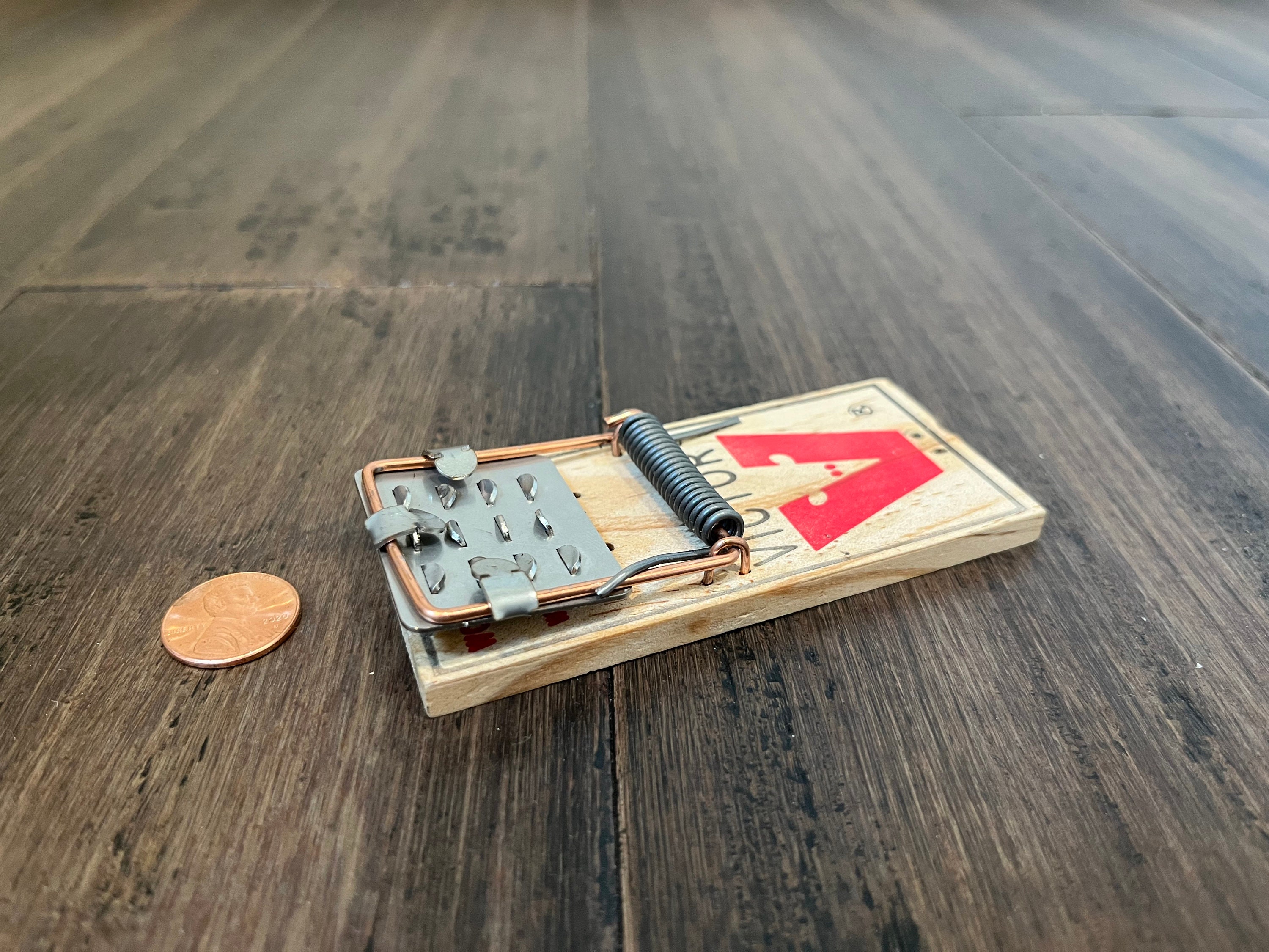 Mouse Trap of Death — Sharp Pointed Things