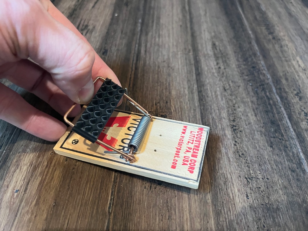 Spiked Mouse Trap - Etsy