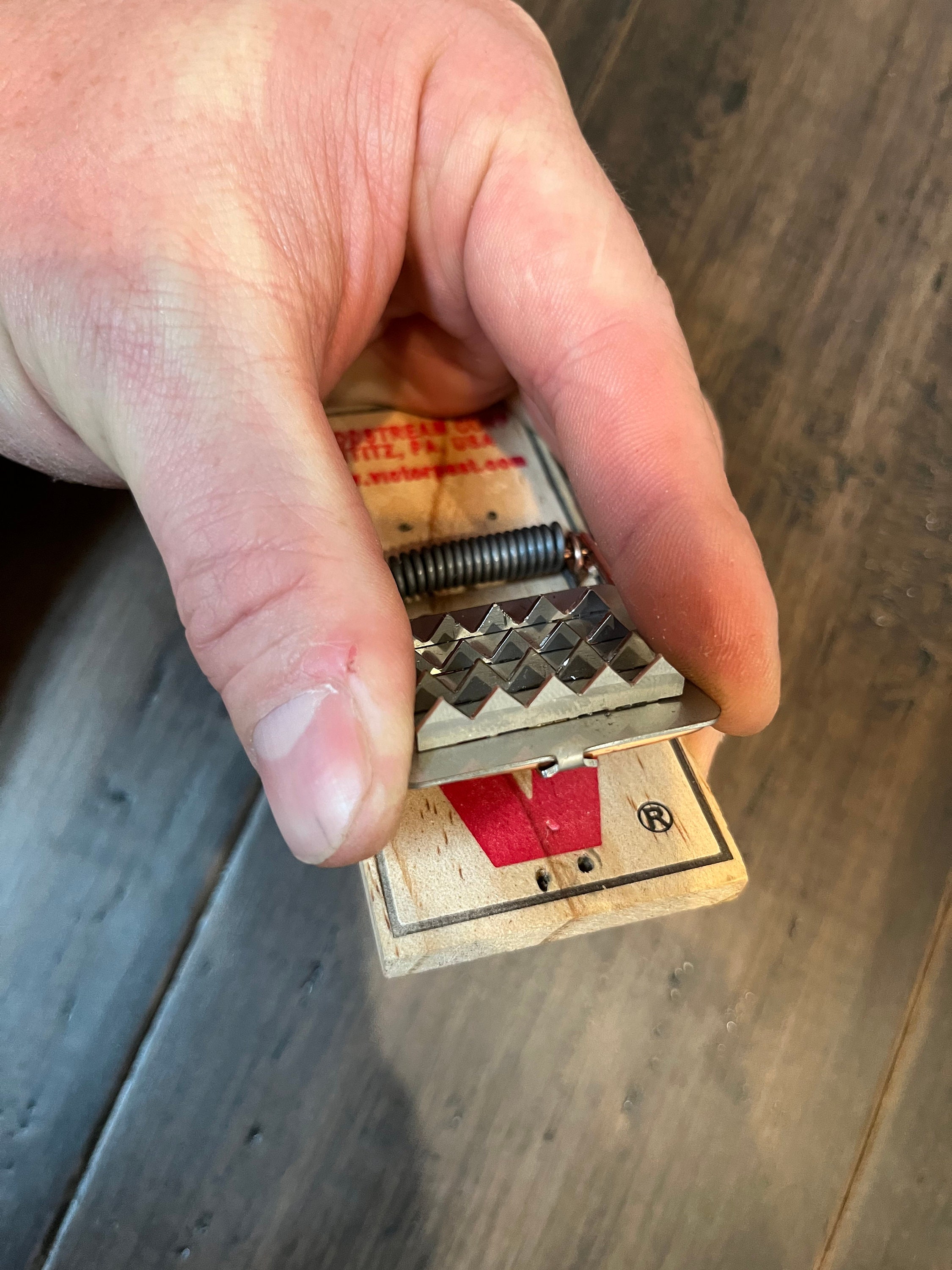 Mouse Trap of Death — Sharp Pointed Things