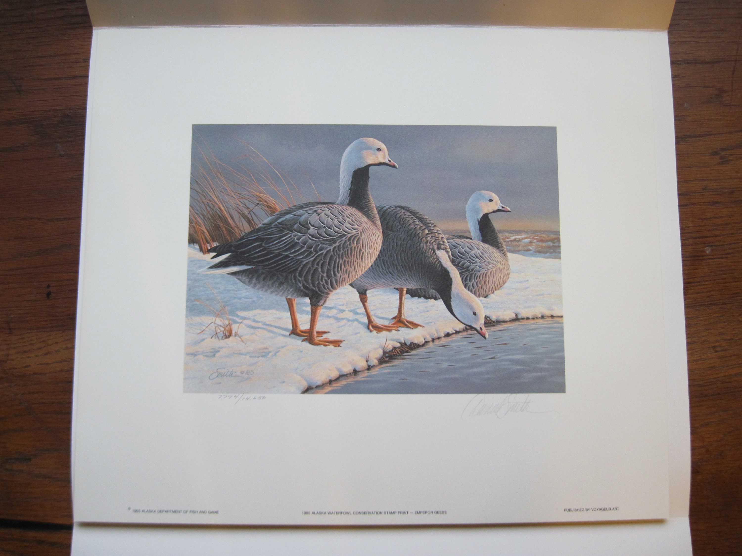 1985 Alaska Waterfowl Conservation Stamp & Print, Daniel Smith, Emperor ...
