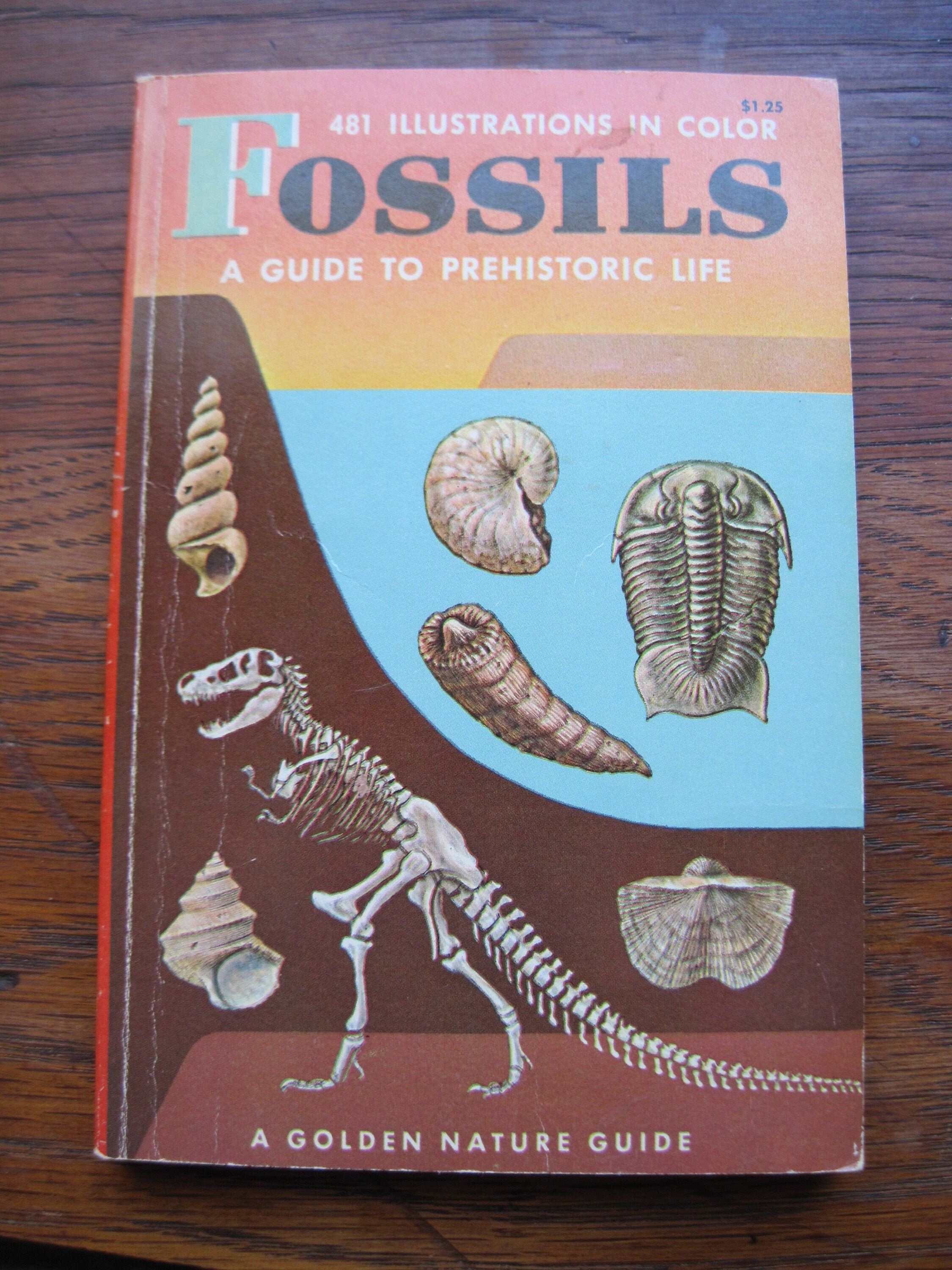 Fossils A Guide to Prehistoric Life, A Golden Nature Guide, Reference ...