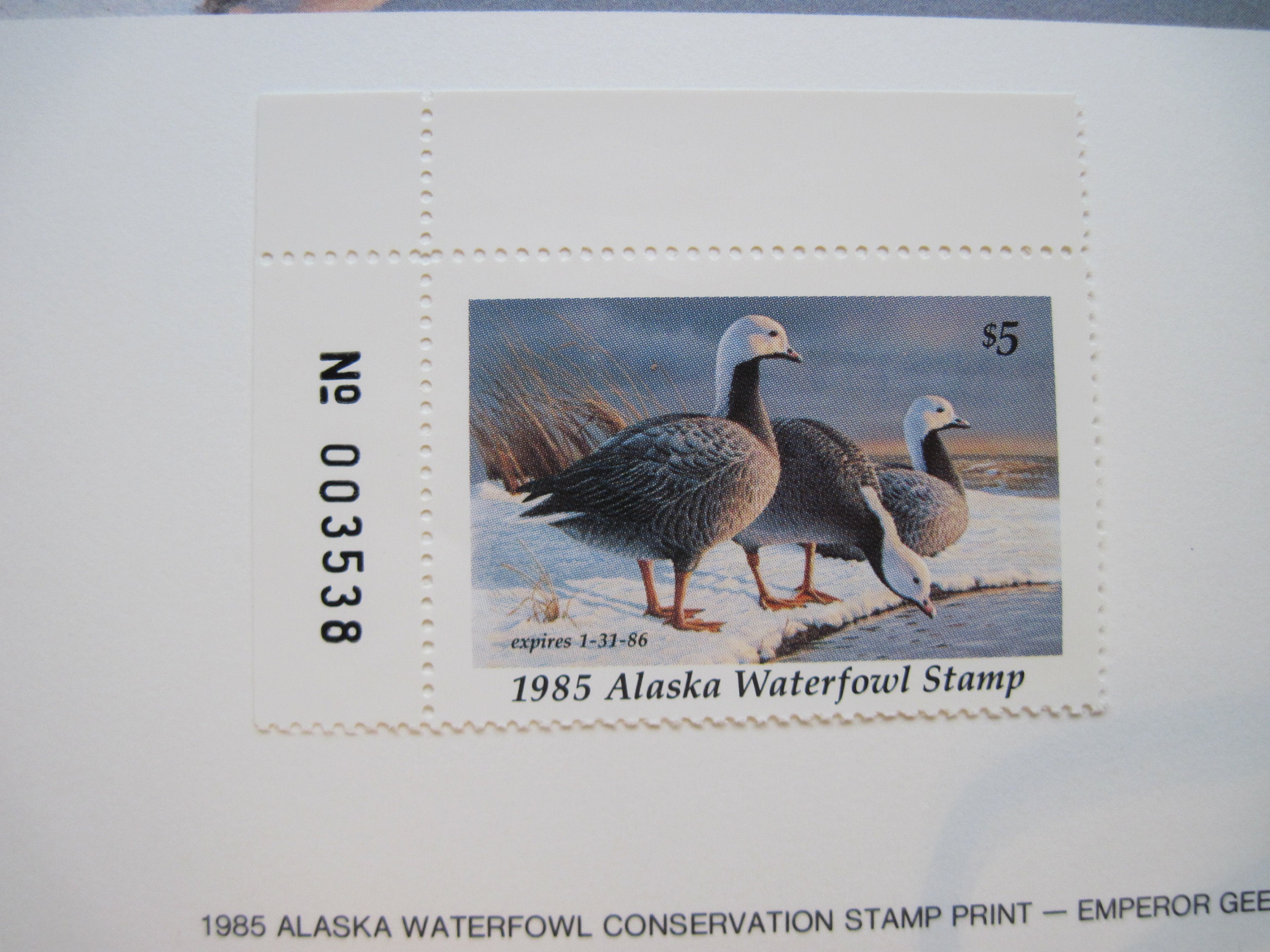 1985 Alaska Waterfowl Conservation Stamp & Print, Daniel Smith, Emperor ...