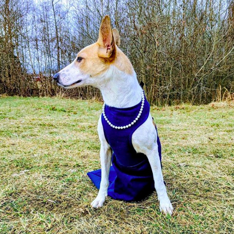 Custom Heavy Duty or Outdoor Drag Bag for Disabled - Etsy