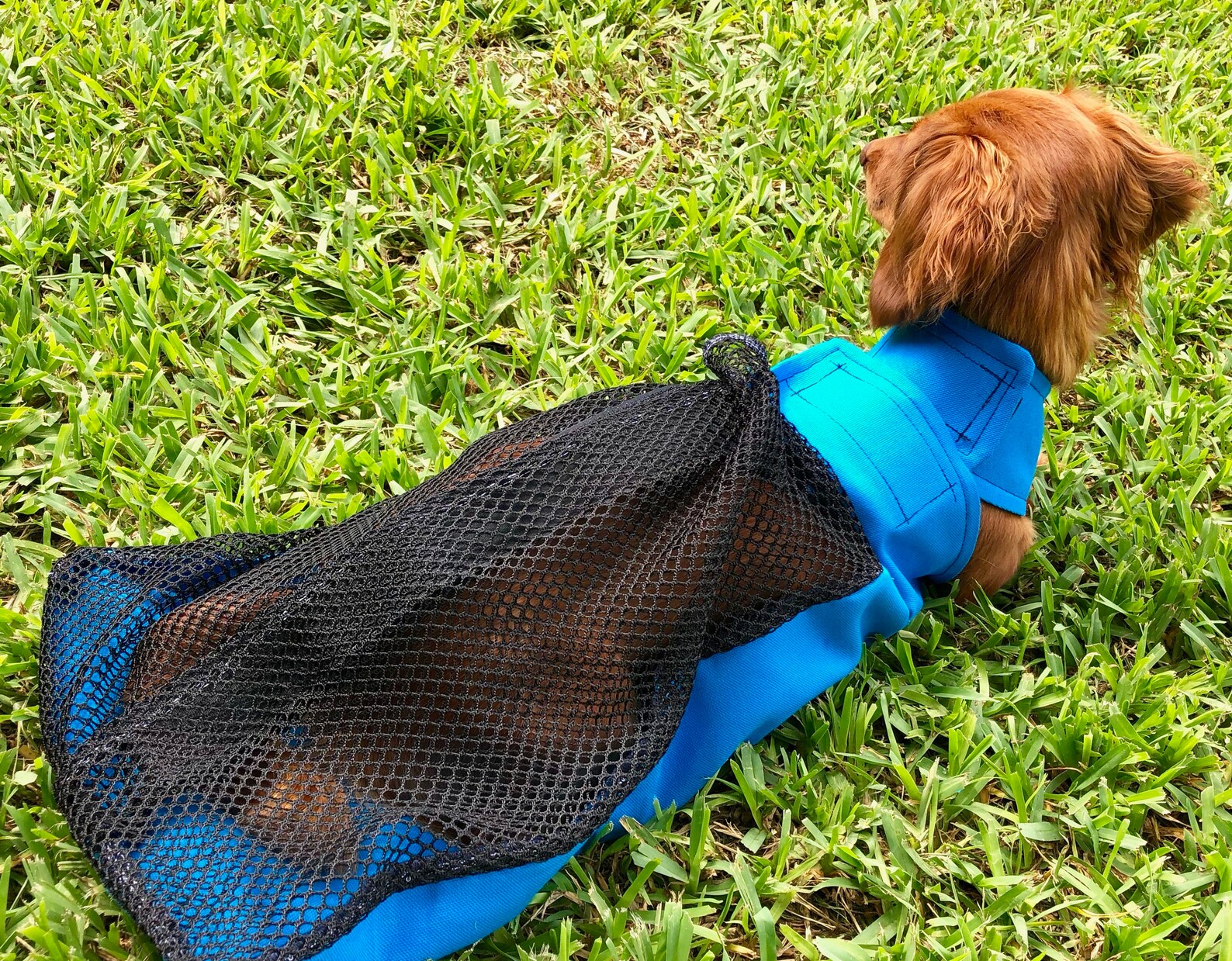 Add-on Only Item Breathable Mesh Back for Drag Bags Scoot | Etsy