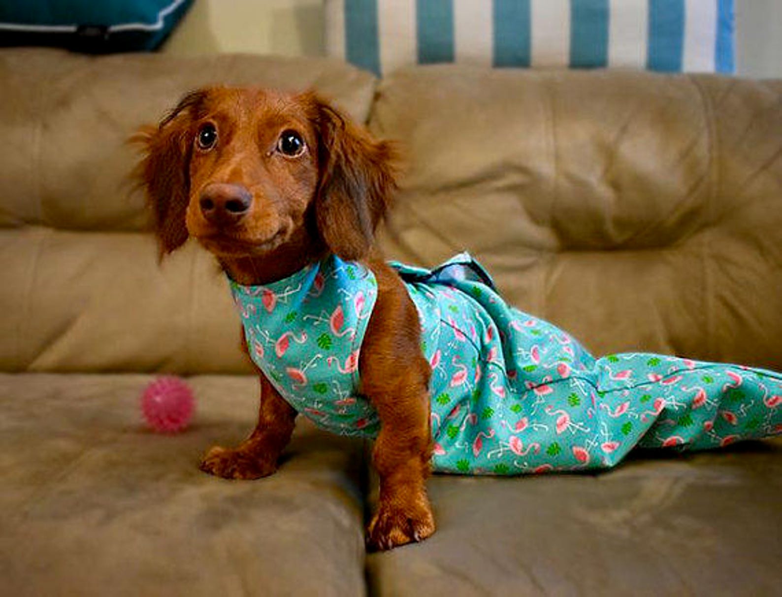 Custom Heavy Duty or Outdoor Drag Bag for Disabled - Etsy