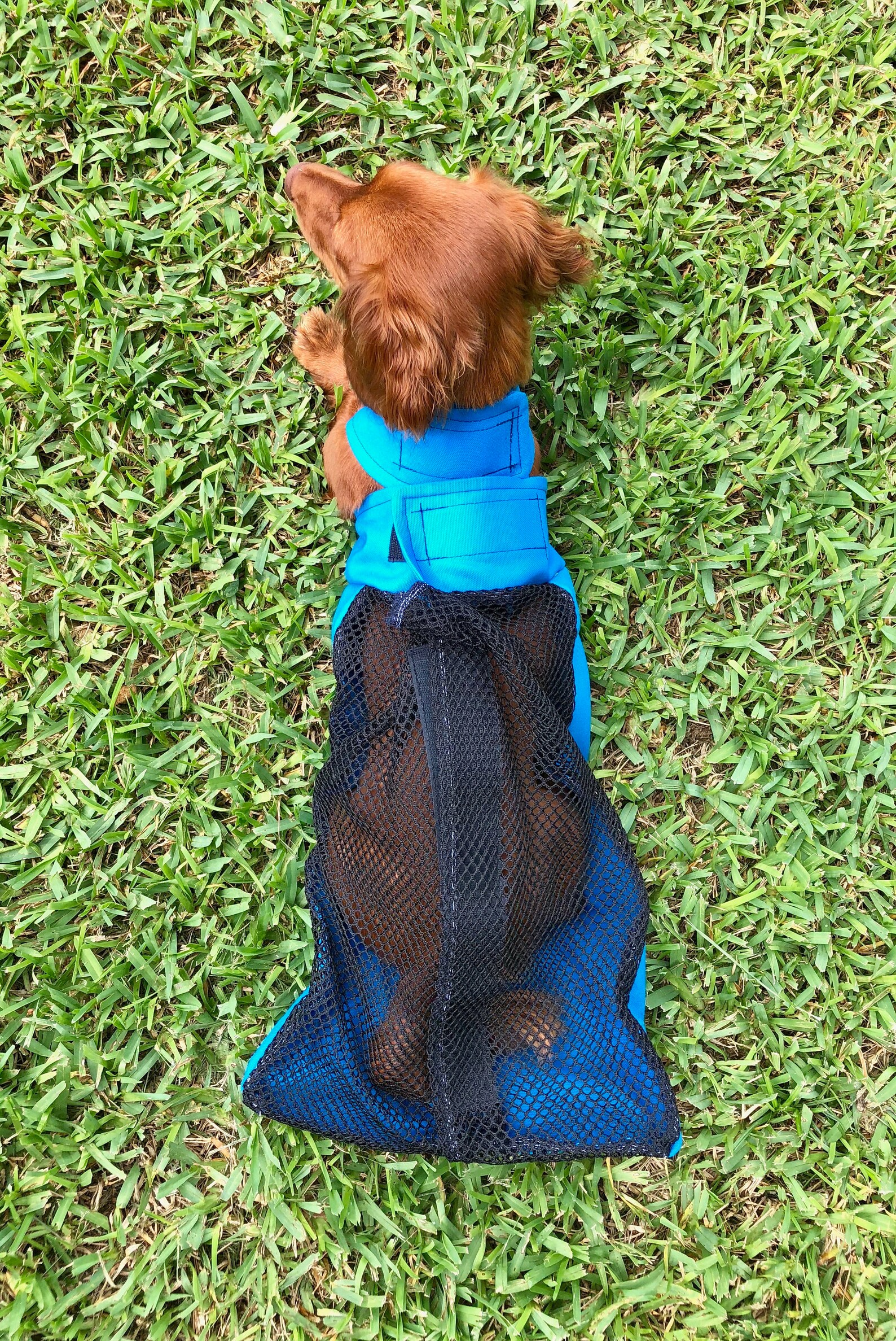 Add-on Only Item Breathable Mesh Back for Drag Bags Scoot - Etsy