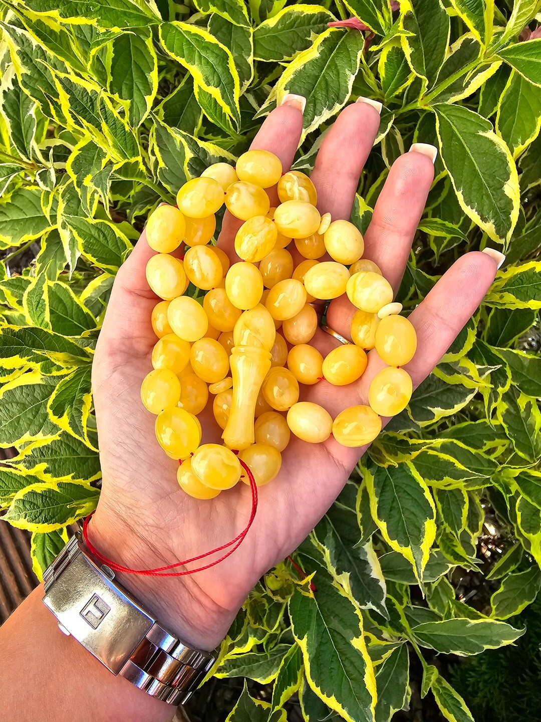Ø +12mm Royal Baltic Amber Islamic Prayer, 54 Egg Shape Beads, 75.44g ...