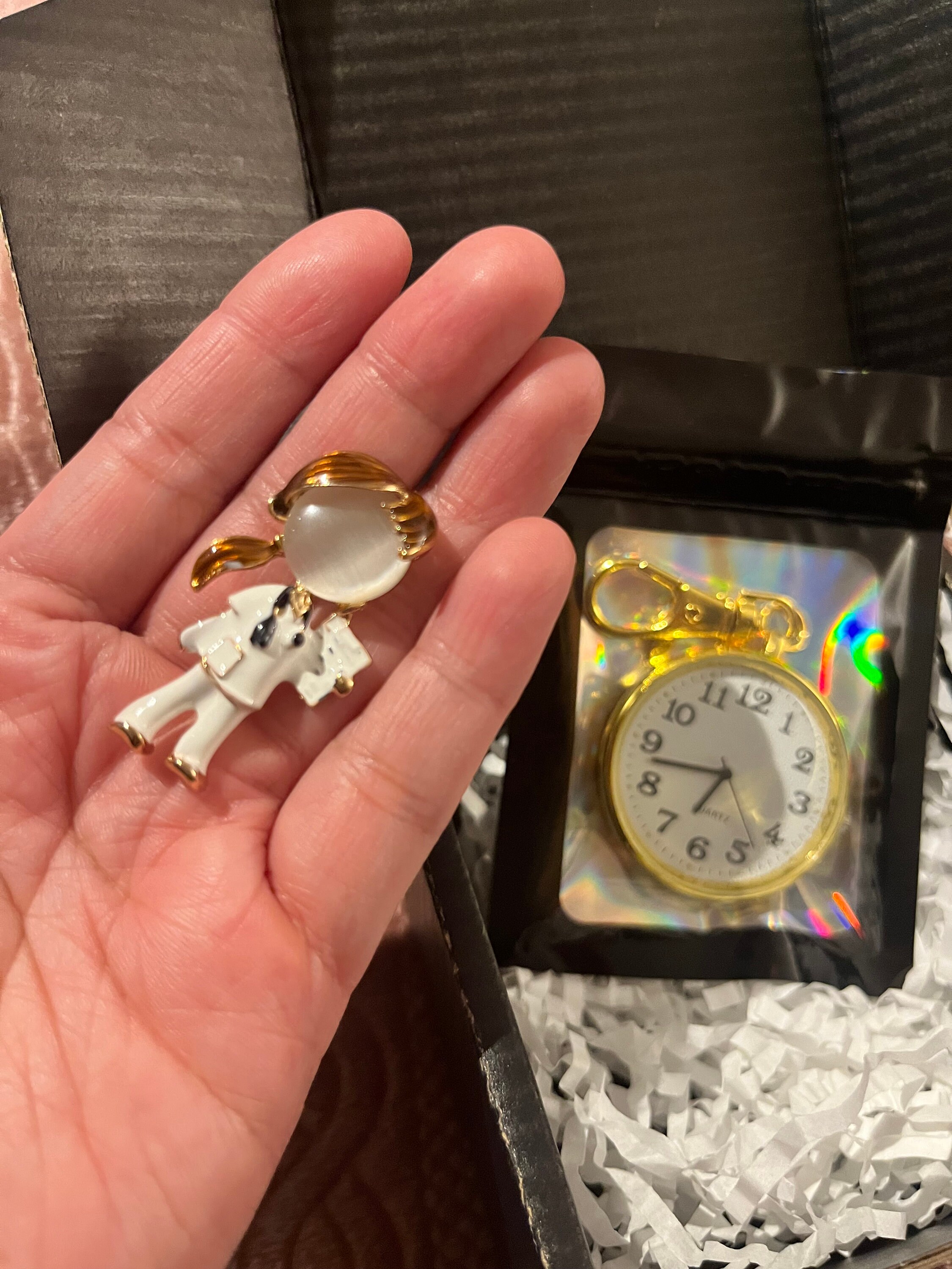 BSN Pin Nursing Pin for Nurse Graduation BSN Gift for Nurse Gift Box ...