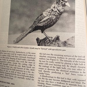 Carving Realistic Birds - H D Green 1977 - Woodcarving Techniques ...
