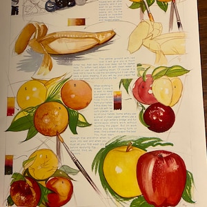 Watercolor Painting: How to Paint - Walter Foster Art Instruction ...