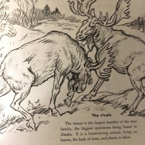 Drawing Animals by Victor Perard, Techniques, Guide to Sketching to ...