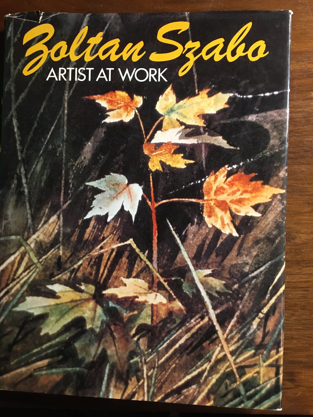 Zoltan Szabo Artist at Work - 1979 - Step by Step Techniques ...