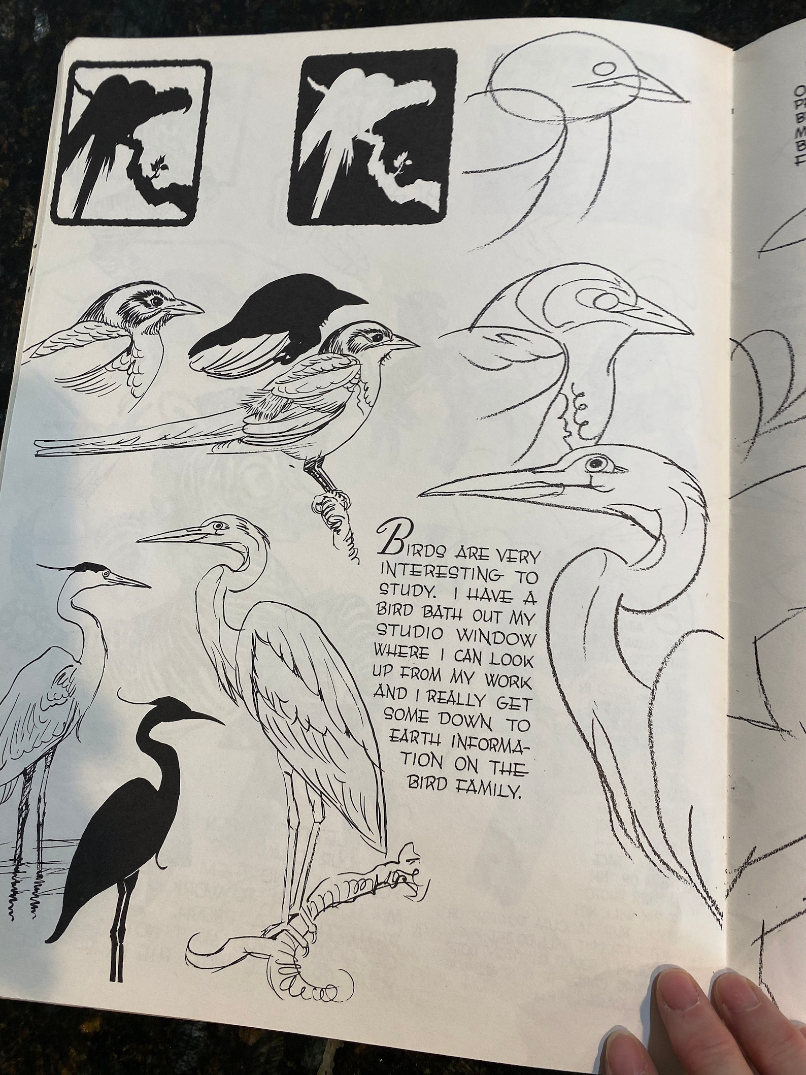 Drawing Simplified Pen Pencil Brush Charcoal Gene Franks - Etsy