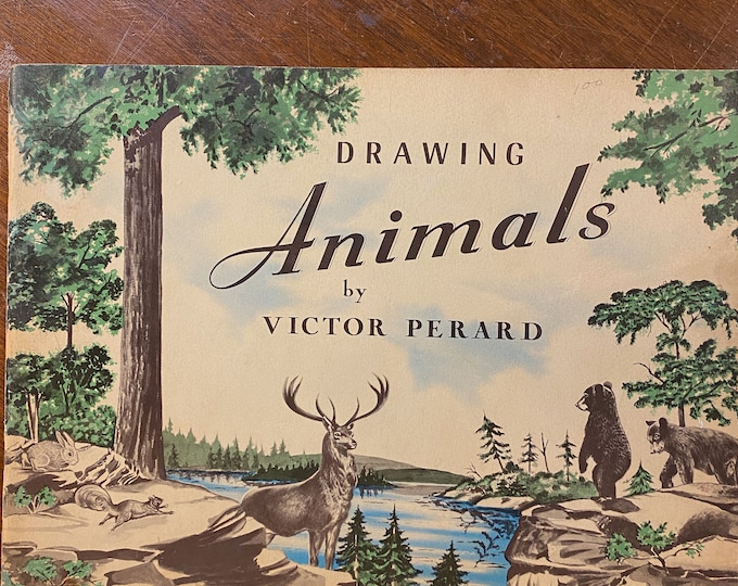 Drawing Animals by Victor Perard, Pitman #5 - 1957 - Techniques, Guide ...