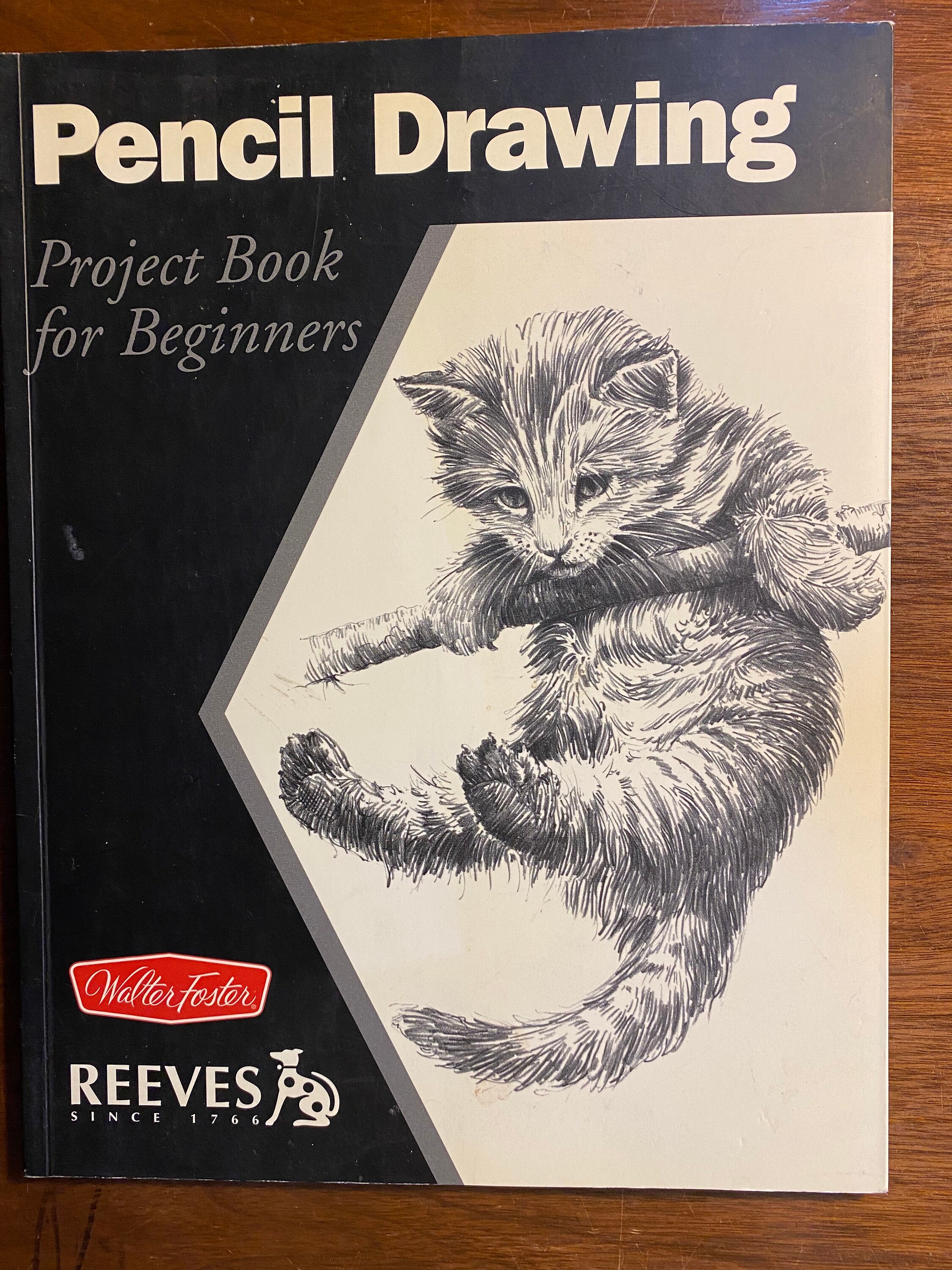 How to Draw Pencil Drawing Project Book for Beginners | Etsy