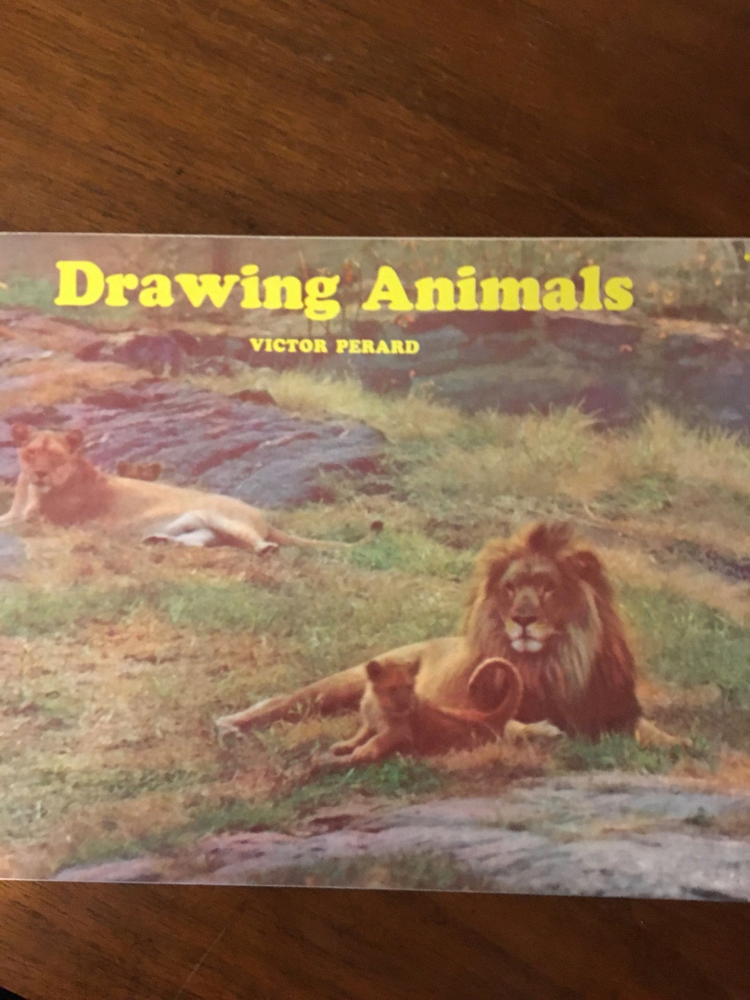 Drawing Animals by Victor Perard, Techniques, Guide to Sketching to ...