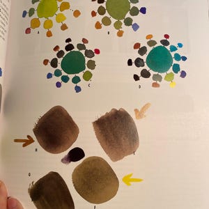 Basic Watercolor Painting Techniques - Greg Albert / Rachel Wolf - 1991 ...