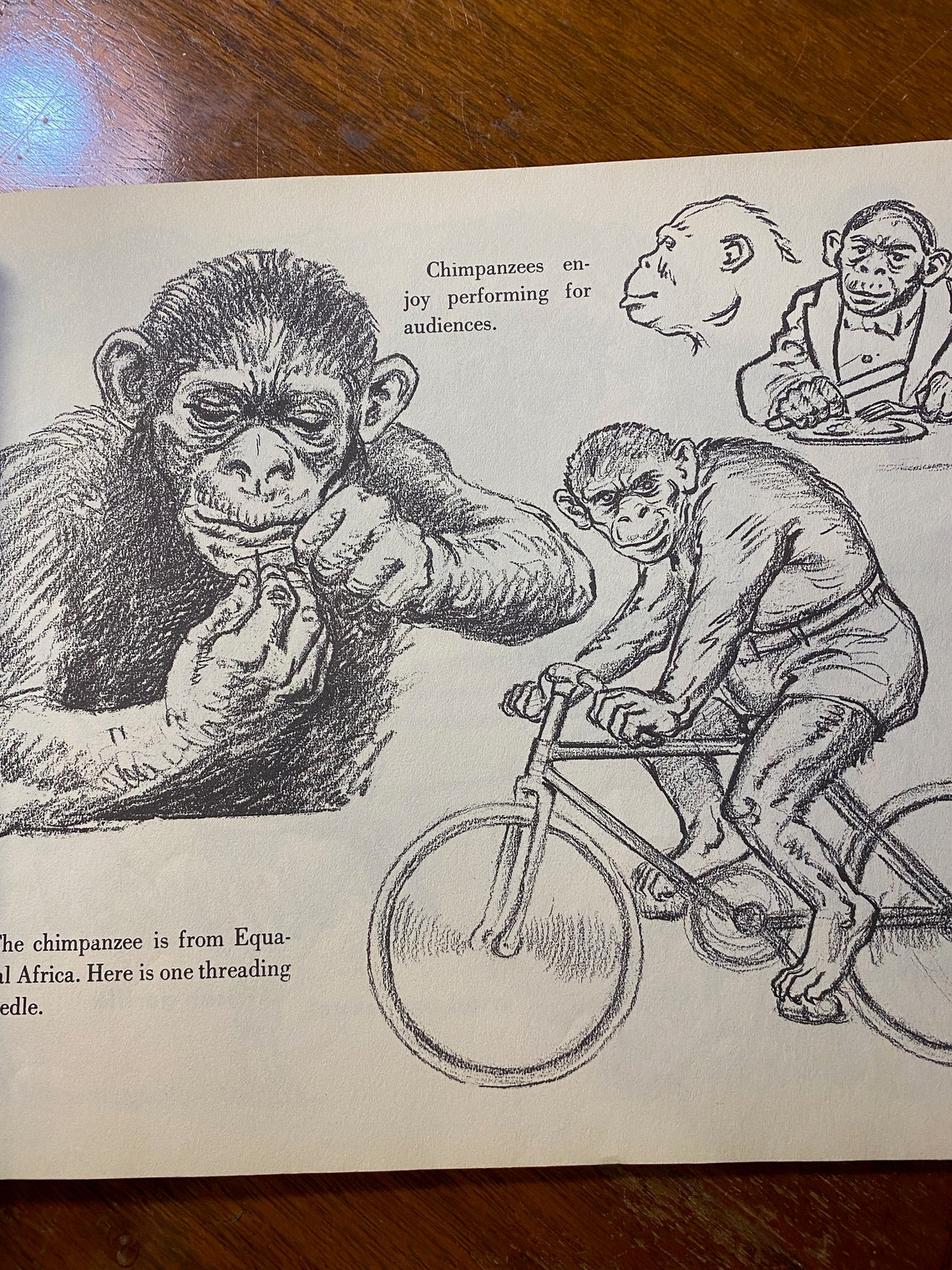 Drawing Animals by Victor Perard, Pitman #5 - 1957 - Techniques, Guide ...