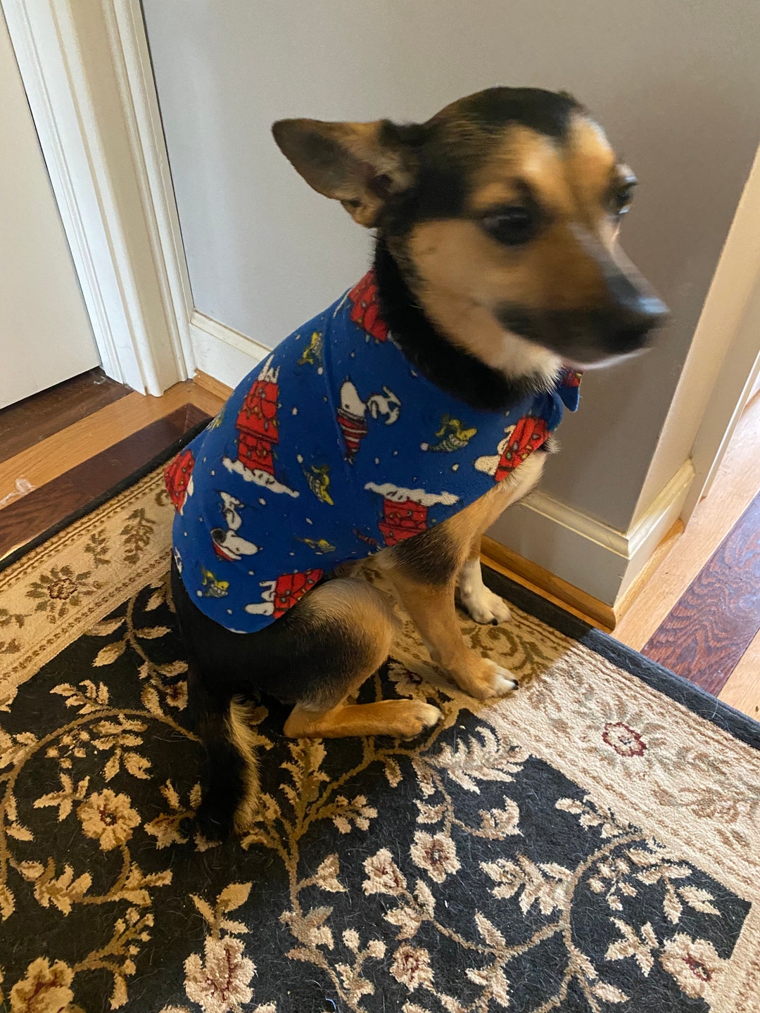 Dog Cover up / Coat - Snoopy and Woodstock - Peanuts - Blue With Red ...