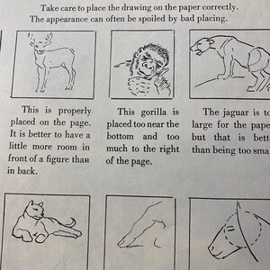 Drawing Animals by Victor Perard, Pitman #5 - 1957 - Techniques, Guide ...