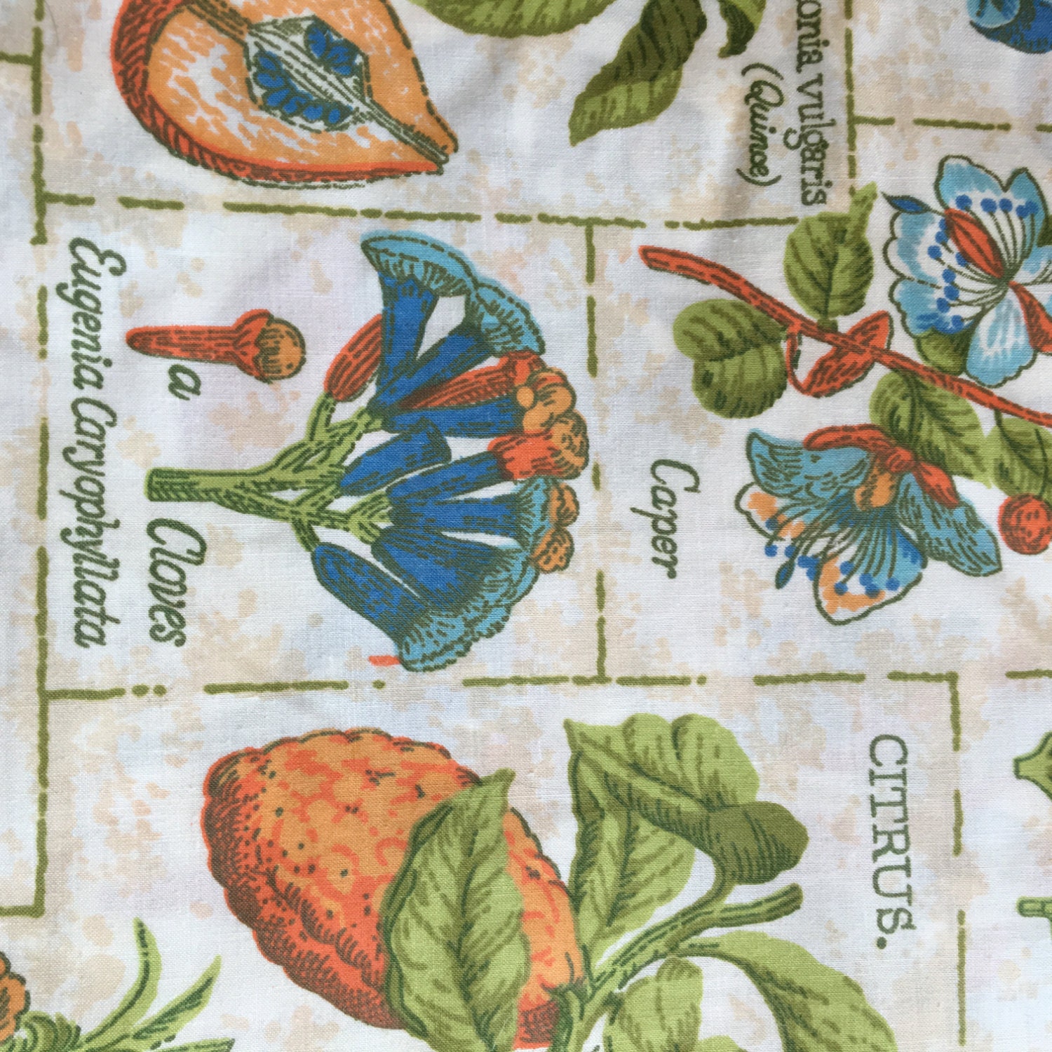 Vintage Fabric Piece Botanical: Fruits and Plants With - Etsy